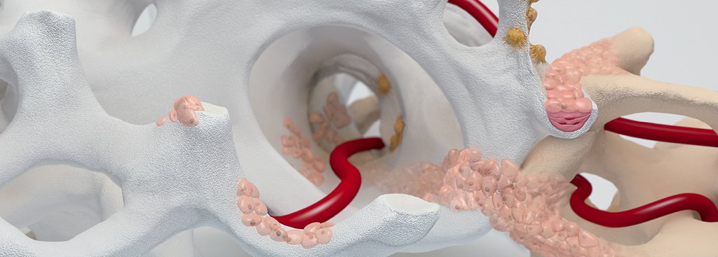 General Information - Geistlich Pharma AG