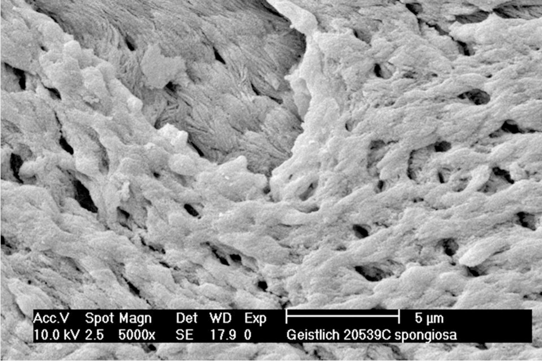 Geistlich Bio-Oss - Geistlich Pharma AG