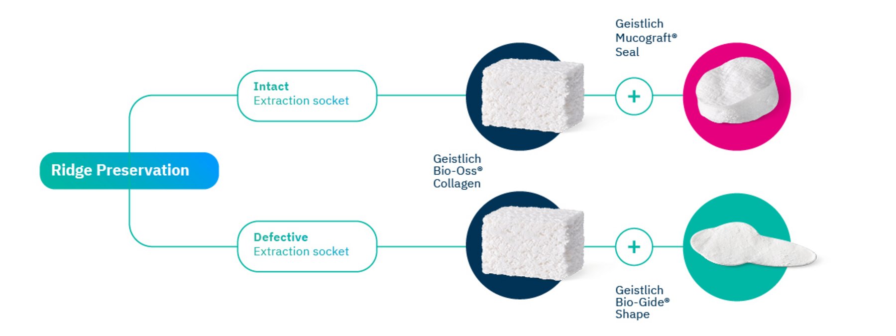 Ridge Preservation - Geistlich Pharma AG