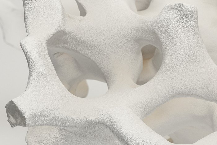 Orthoss - Geistlich Pharma AG