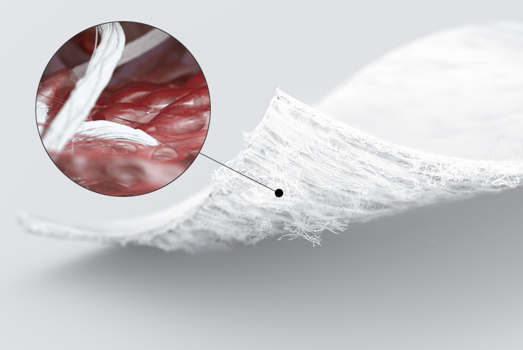 Chondro-Gide - Geistlich Pharma AG