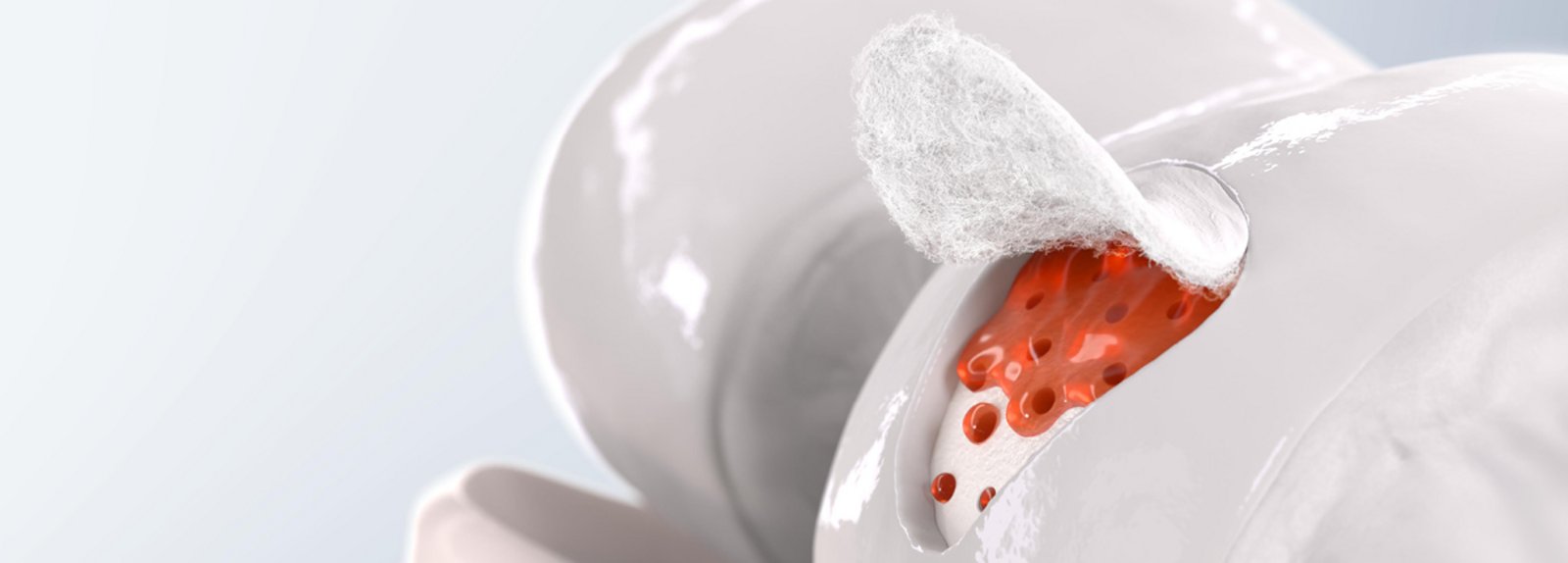 General Information - Geistlich Pharma AG