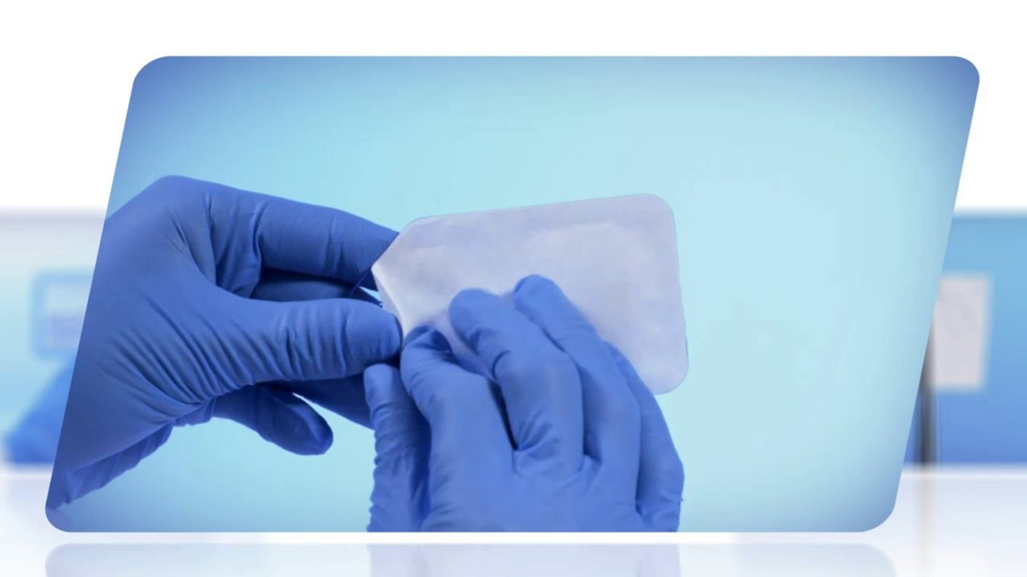 Geistlich Bio-Gide Compressed - Geistlich Pharma AG