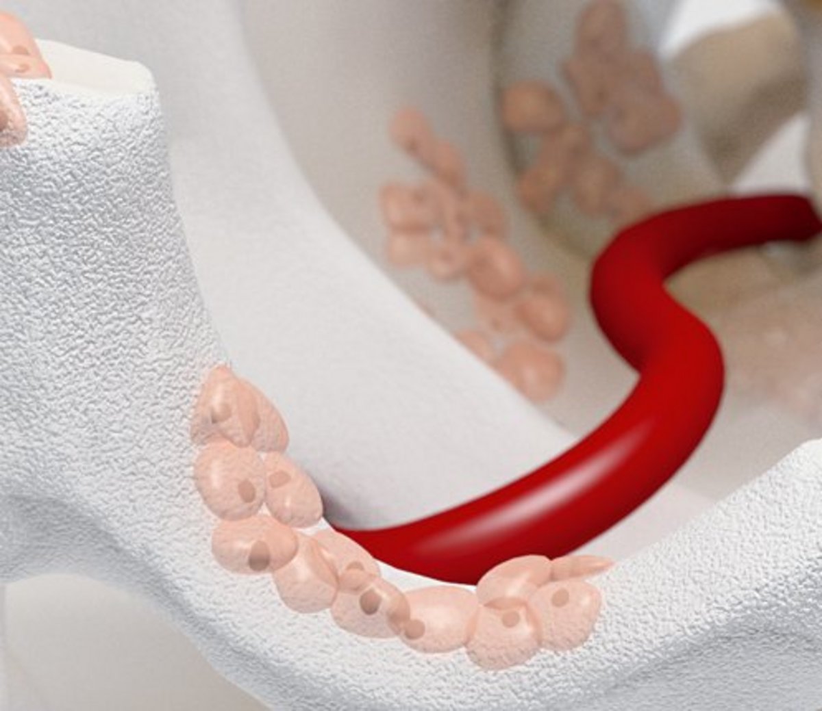 Product Safety - Geistlich Pharma AG