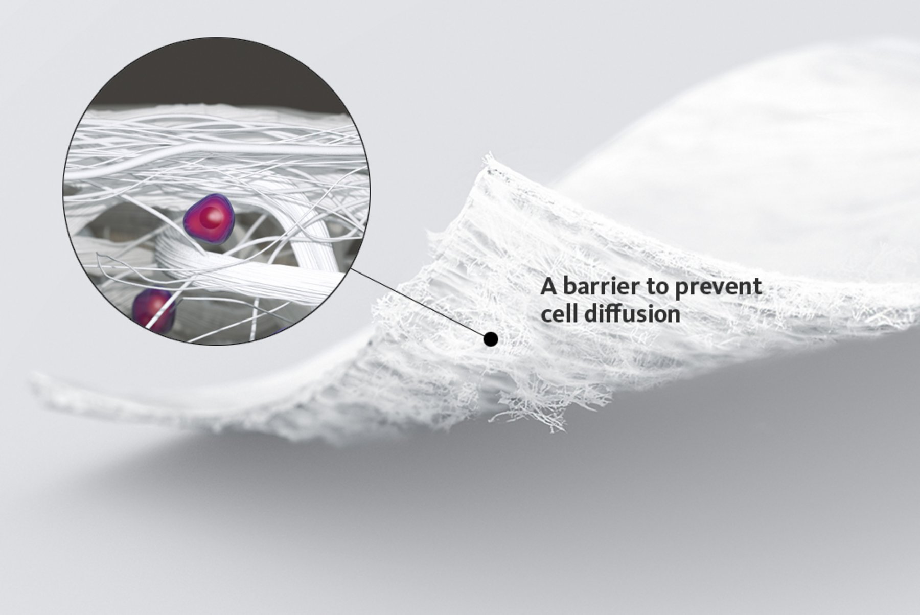Chondro-Gide - Geistlich Pharma AG