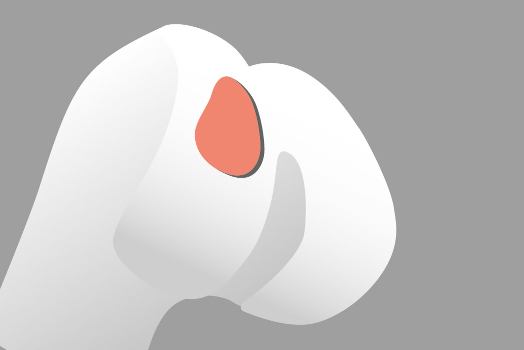 About AMIC - Geistlich Pharma AG