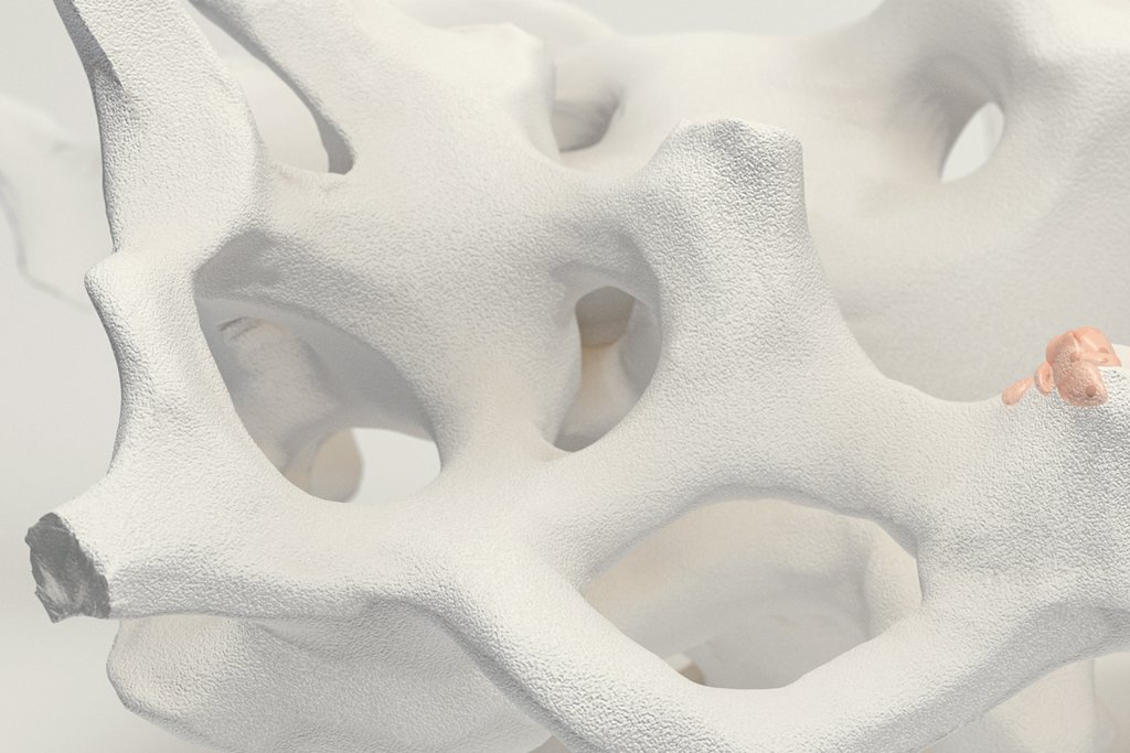 Orthoss - Geistlich Pharma AG