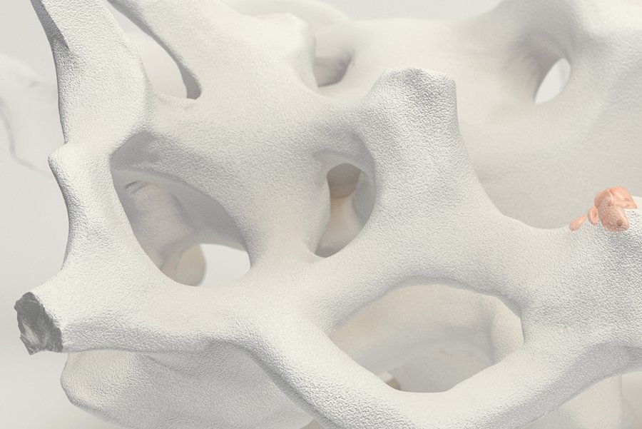 Orthoss - Geistlich Pharma AG