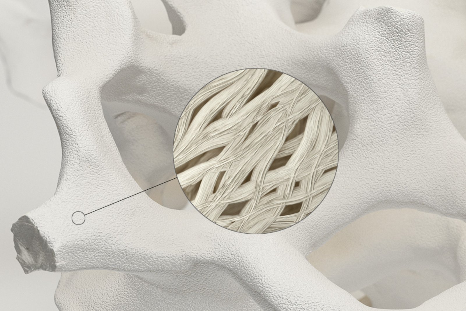 Orthoss - Geistlich Pharma AG