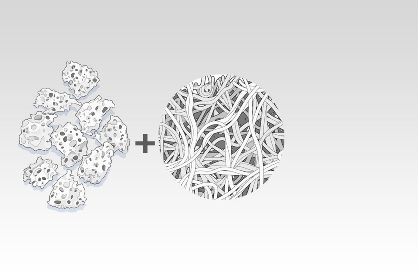 Orthoss Collagen - Geistlich Pharma AG