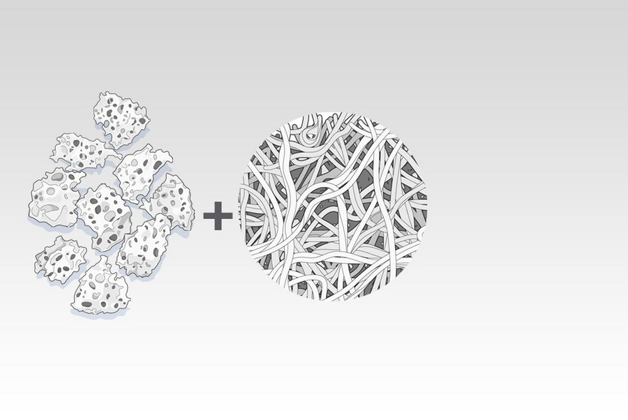 Orthoss Collagen - Geistlich Pharma AG