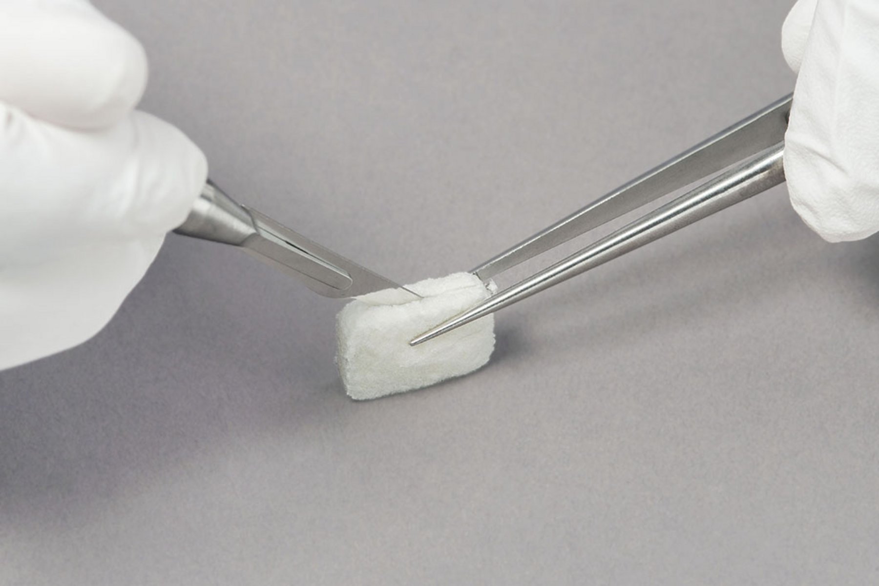 Geistlich Fibro-Gide® - Geistlich Pharma AG