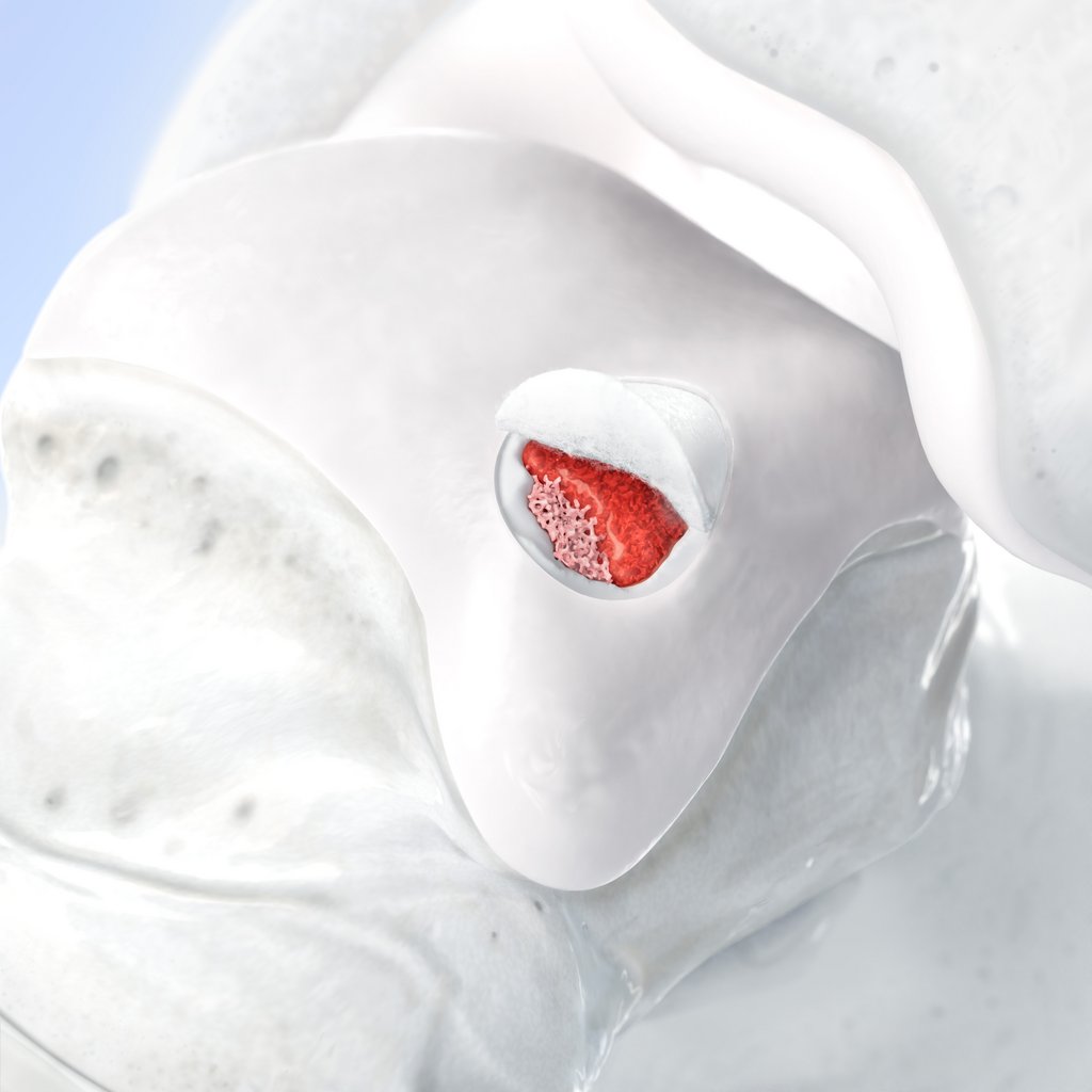 Jubilee Chondro-Gide - Geistlich Pharma AG