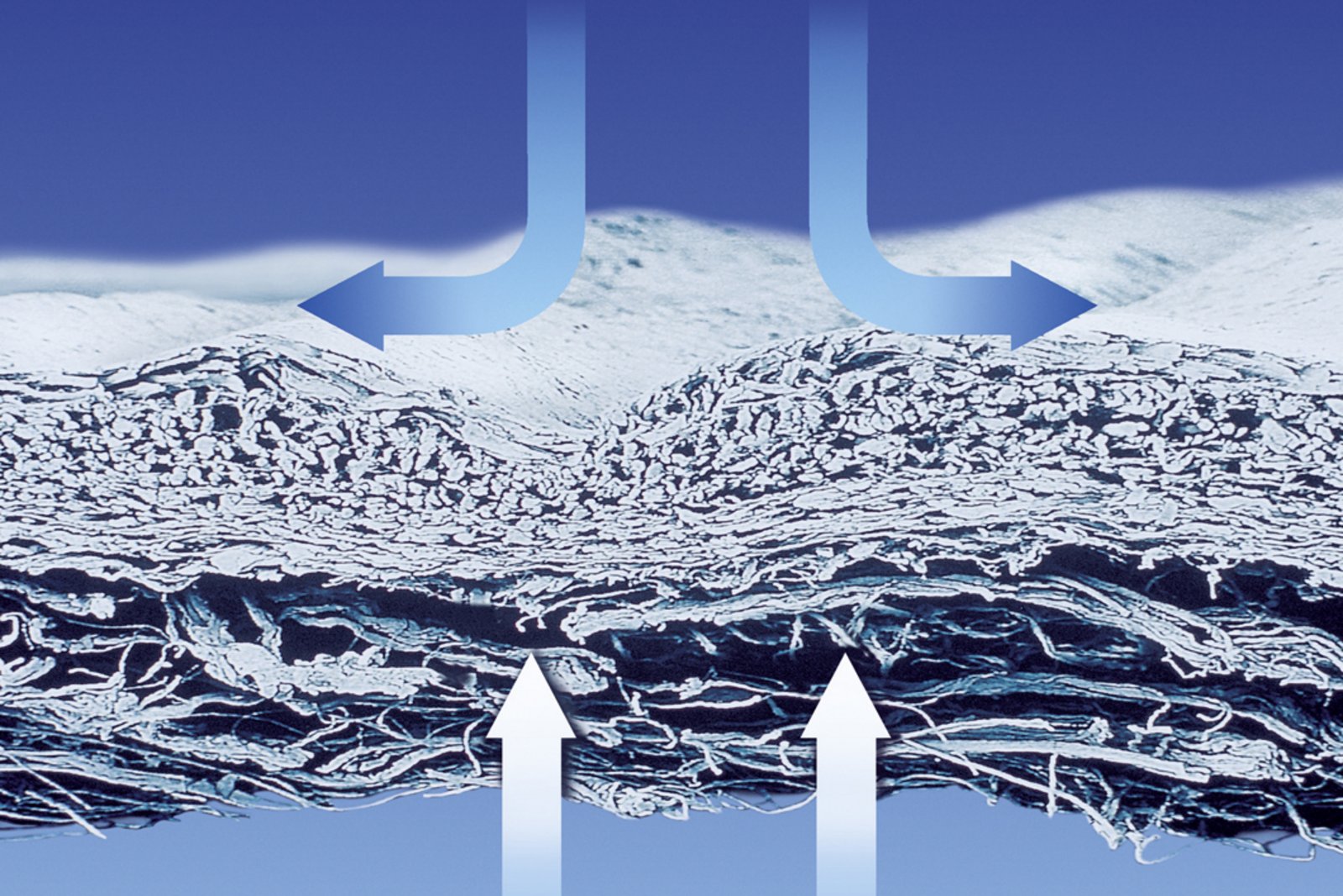 Geistlich Bio-Gide - Geistlich Pharma AG