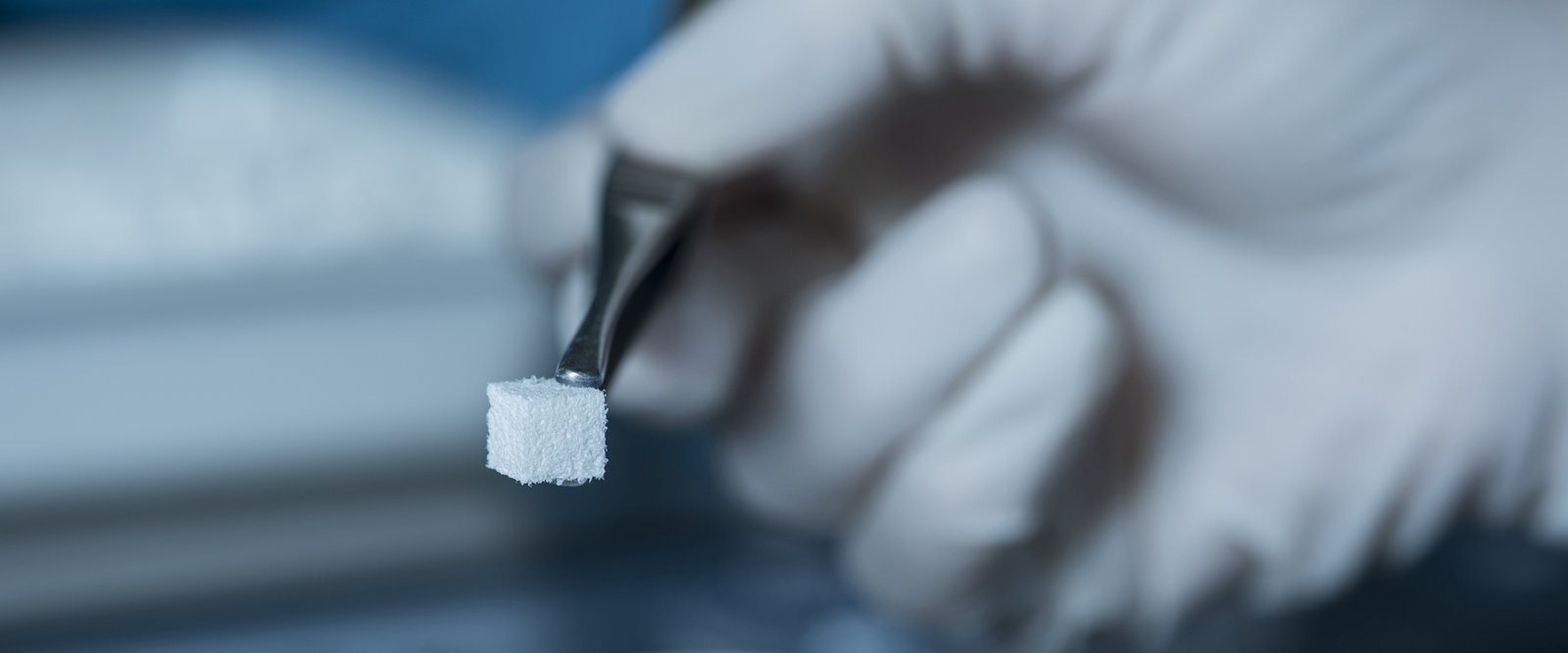 Bone graft material safety: Why source matters - Geistlich Pharma AG