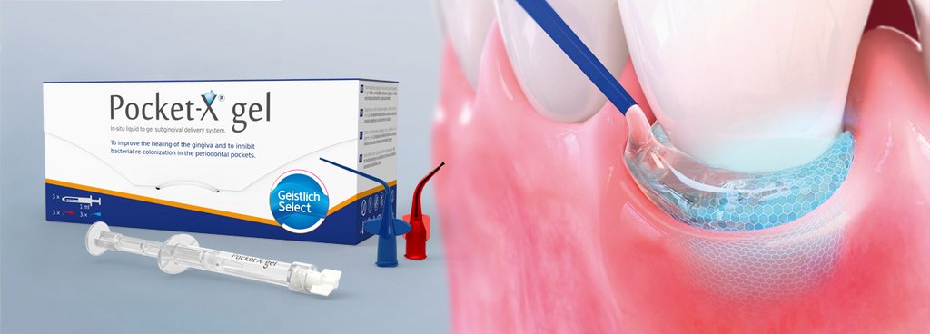 Pocket-X Gel - Geistlich Pharma AG