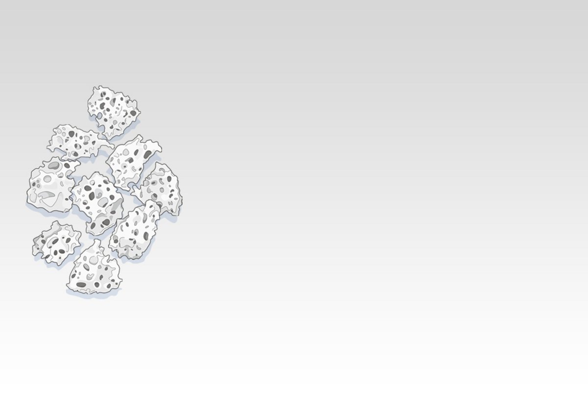 Orthoss Collagen - Geistlich Pharma AG