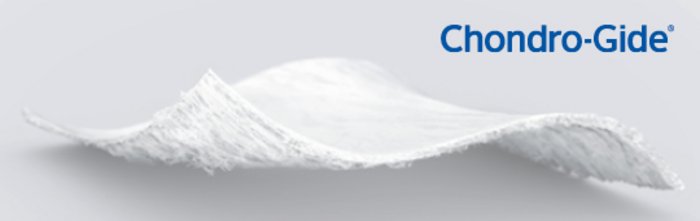 Chondro-Gide® Articular Cartilage Cover: FDA approval as a Breakthrough Device - Geistlich Pharma AG