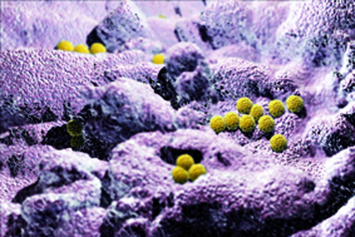 Geistlich TauroSept - Geistlich Pharma AG