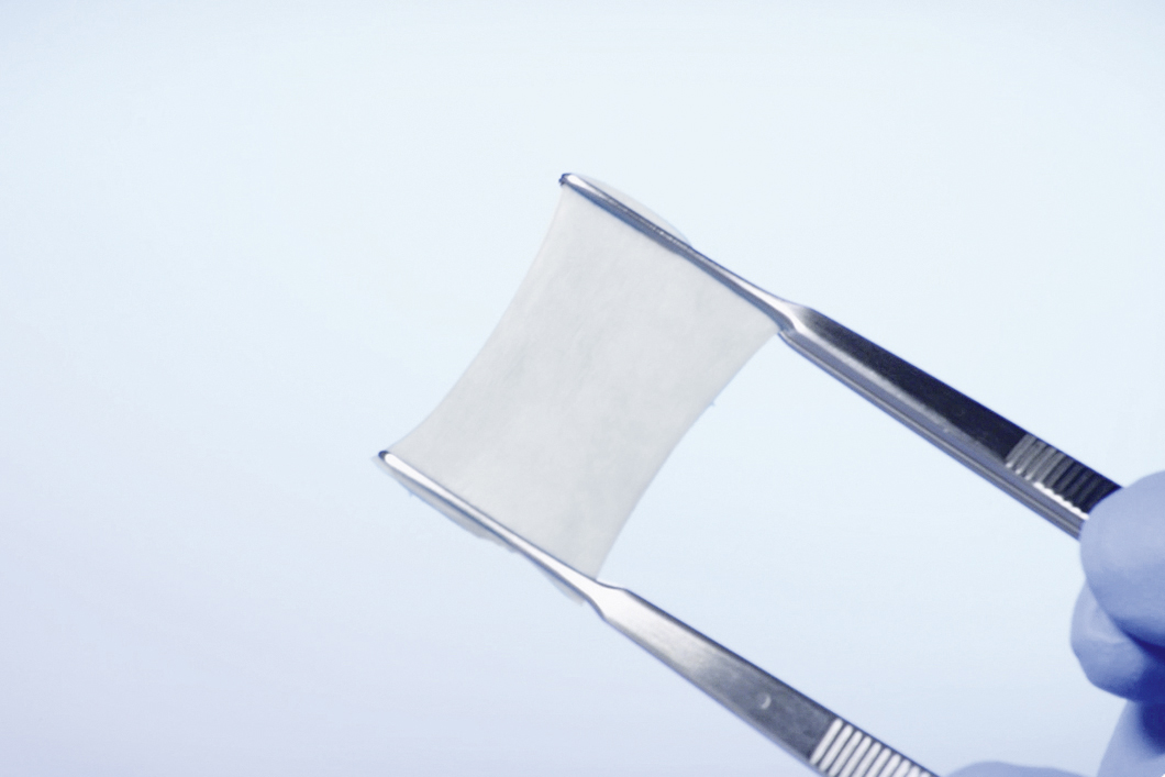 Geistlich Bio-Gide Compressed - Geistlich Pharma AG