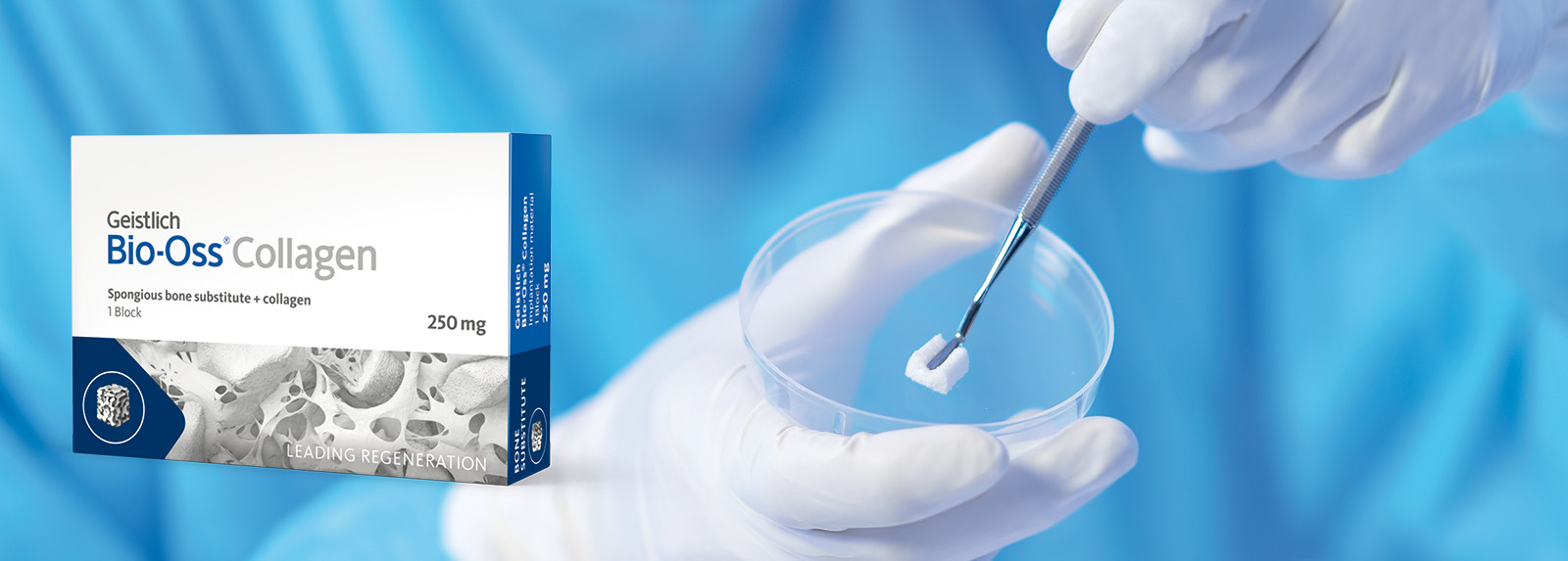 Geistlich Bio-Oss Collagen - Geistlich Pharma AG